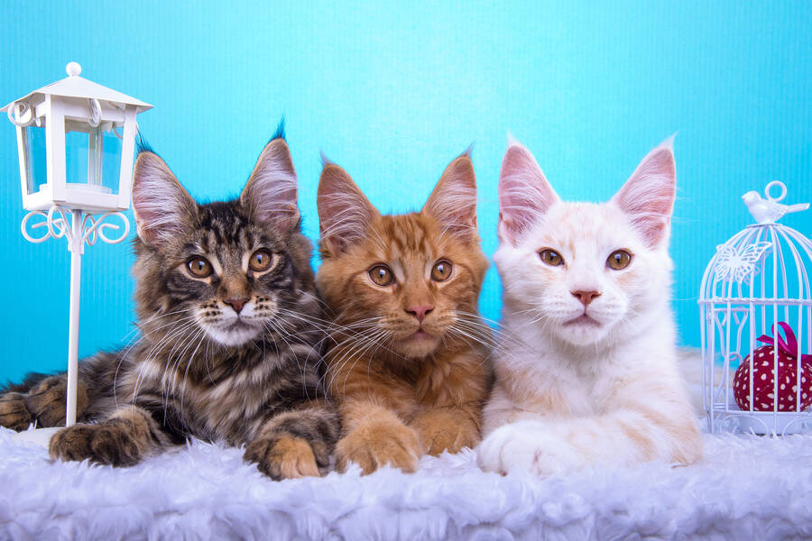 Hot 99.2 Online Listen Live - Plant City, United States | Online Radio Box