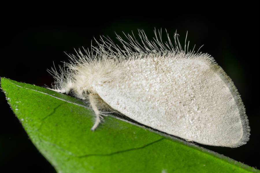 Newsradio 1140 WRVA Listen Live - Richmond, United States | Online ...