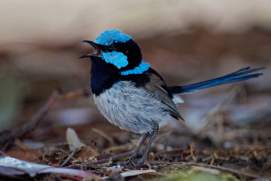 WUML Listen Live - 91.5 MHz FM, Lowell, United States | Online Radio Box