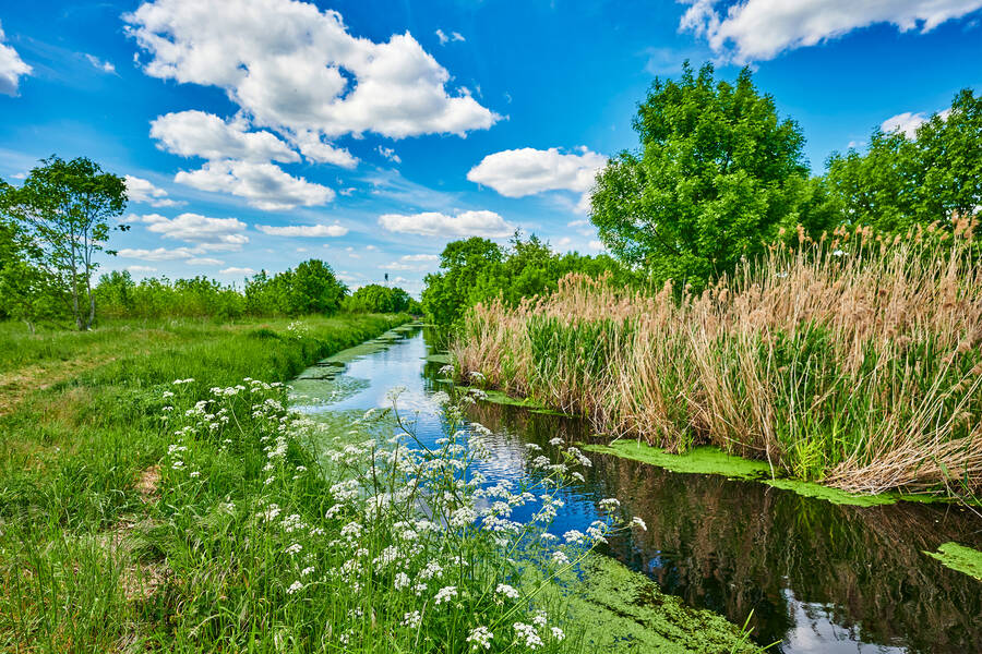 WHBU Radio Listen Live - 1240 kHz AM, Anderson, United States | Online ...