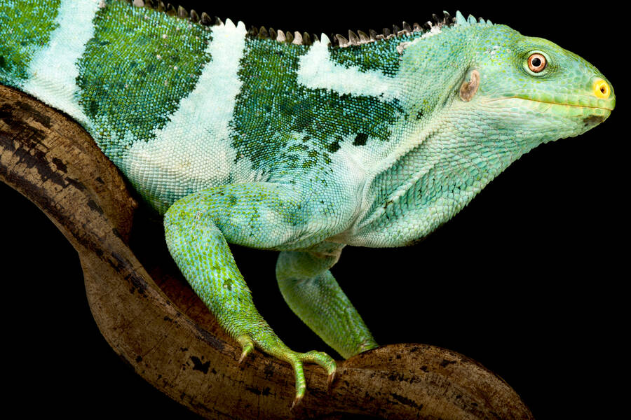 WDUN Listen Live - 550 kHz AM, Gainesville, United States | Online ...