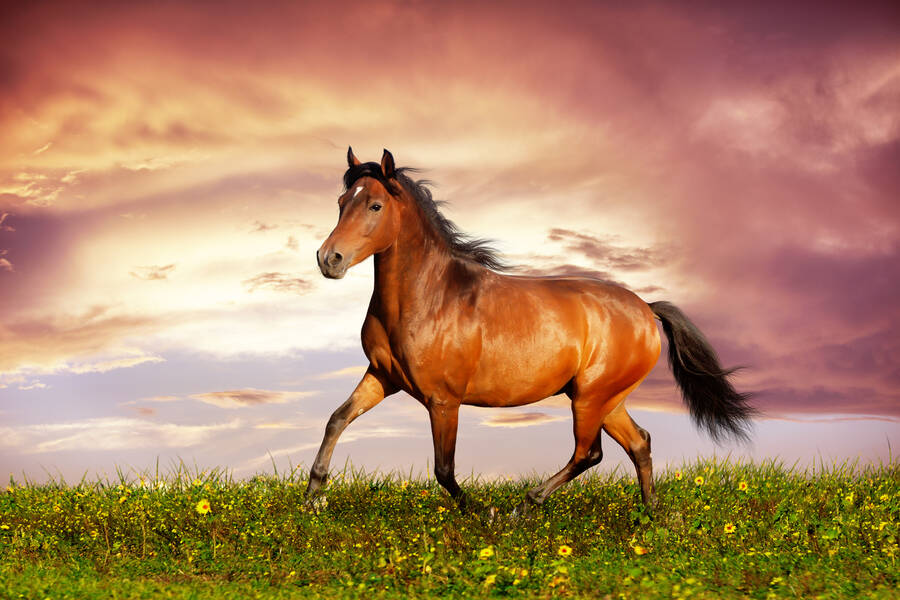 Magic 590 AM Listen Live - Albany, United States | Online Radio Box