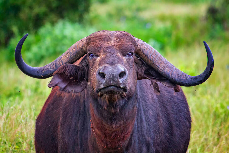 ESPN Tri Cities - WKPT 1400 AM Listen Live - Kingsport, United States ...