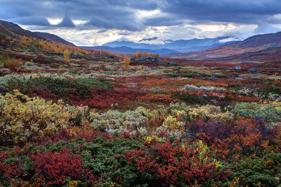 Newsradio 1200 WOAI Listen Live - San Antonio, United States | Online ...