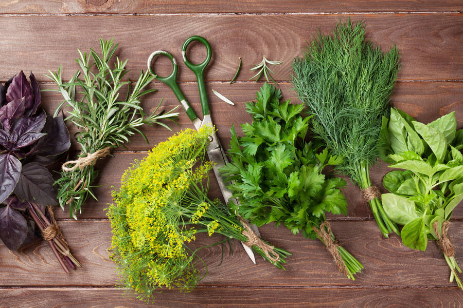 WLIK Listen Live - 1270 kHz AM, Newport, United States | Online Radio Box