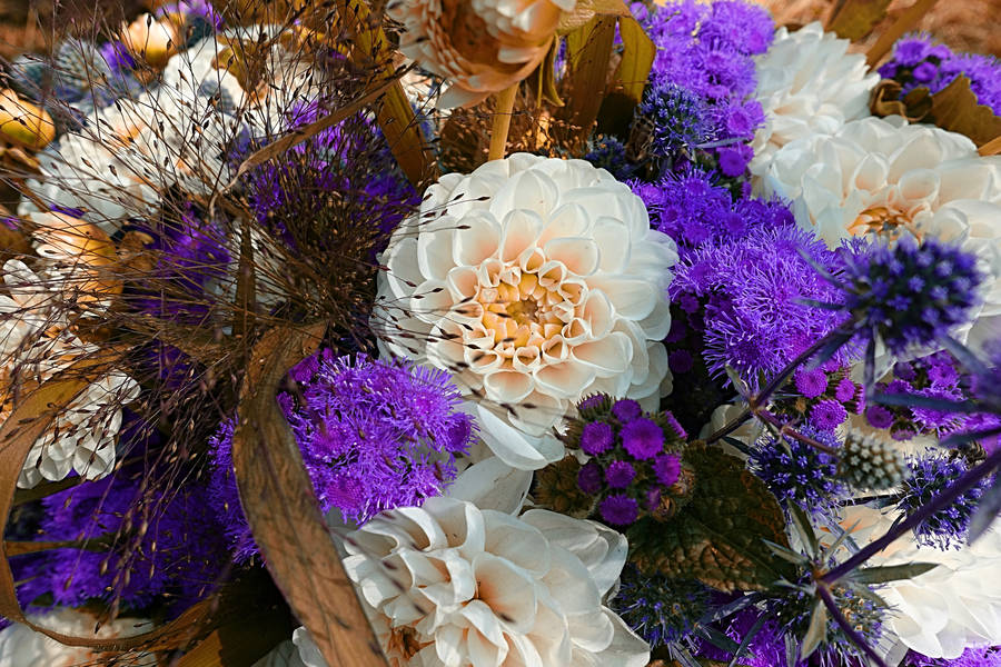 Love 972 live - 97.2 MHz FM, Singapore | Online Radio Box