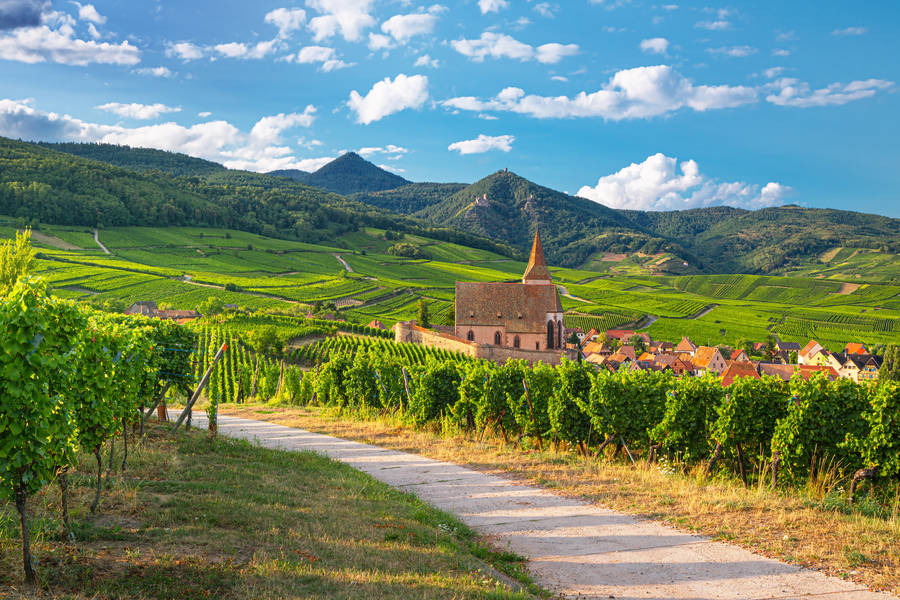 WAAV Listen Live - 980 kHz AM, Leland, United States | Online Radio Box