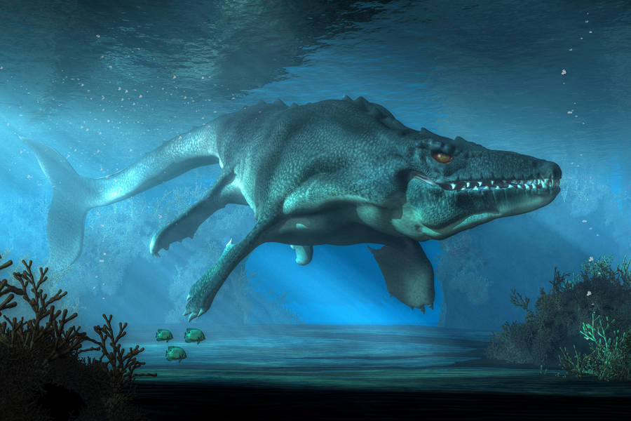 KYUK 640 AM Listen Live - Bethel, United States | Online Radio Box