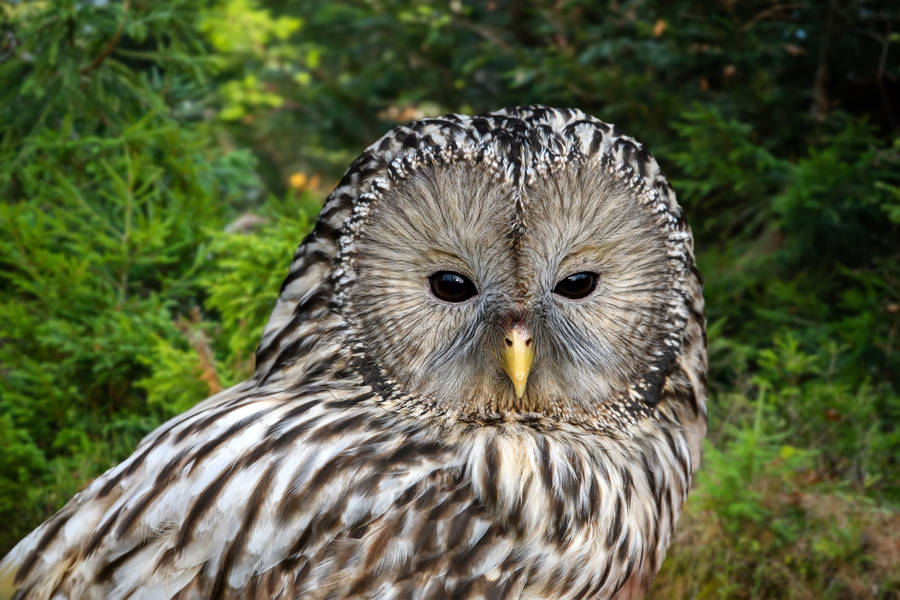 ESPN Tri Cities - WKPT 1400 AM Listen Live - Kingsport, United States ...