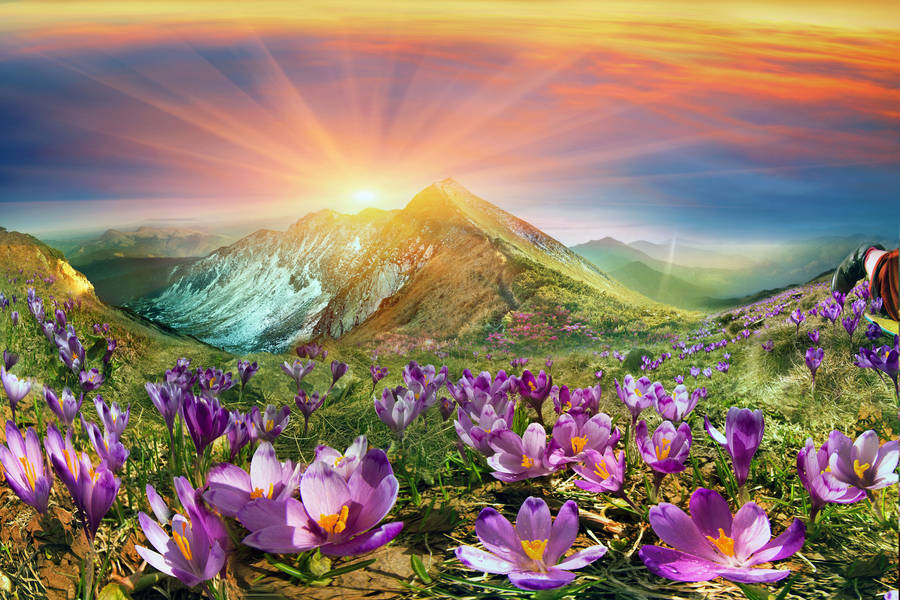 Evropa 2 online – poslouchejte zdarma | Online Radio Box