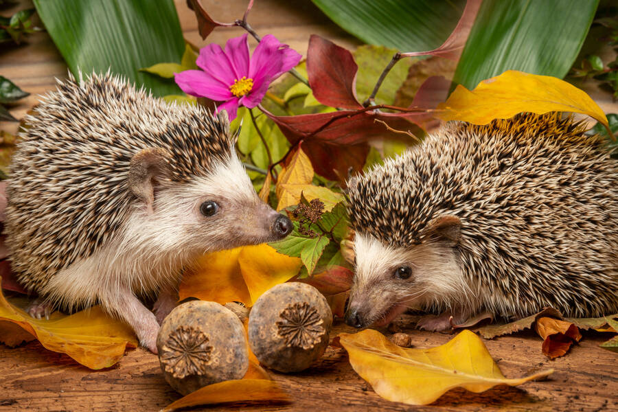 WCBM Listen Live - 680 kHz AM, Baltimore, United States | Online Radio Box