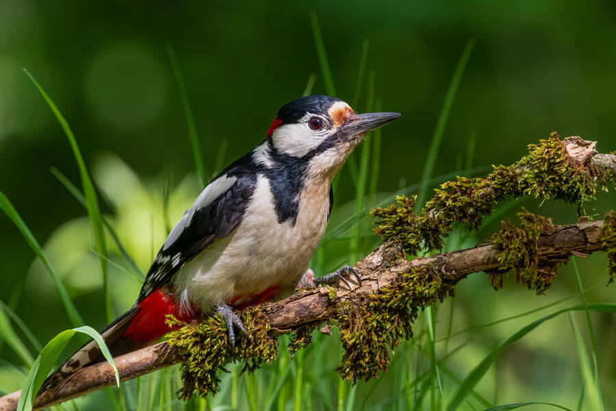 Y108 Listen Live - 107.9 MHz FM, Pittsburgh, United States | Online ...