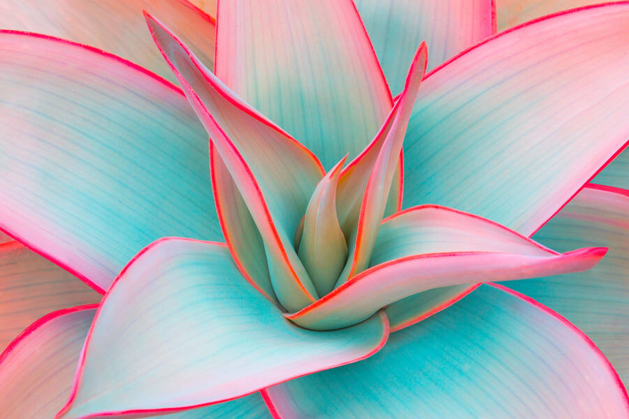 Talk 1300 AM - WGDJ Listen Live - Rensselaer, United States | Online ...