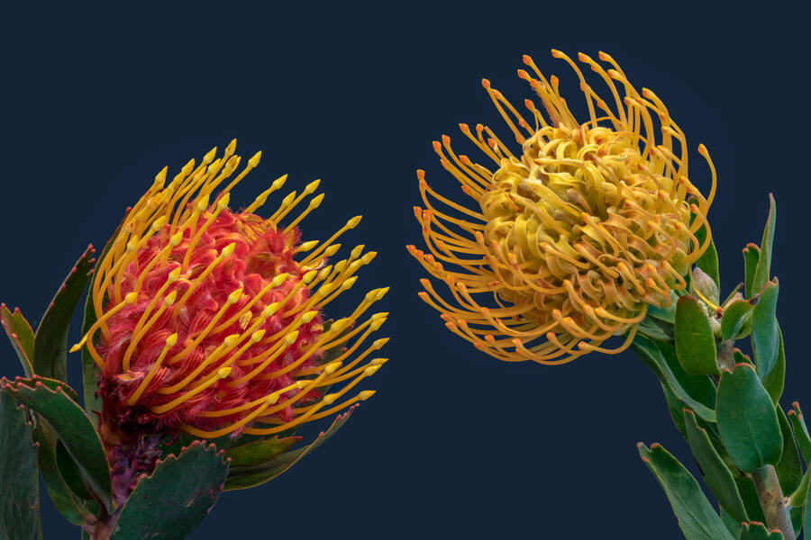 KLBJ News Radio 590 AM Listen Live - Austin, United States | Online ...