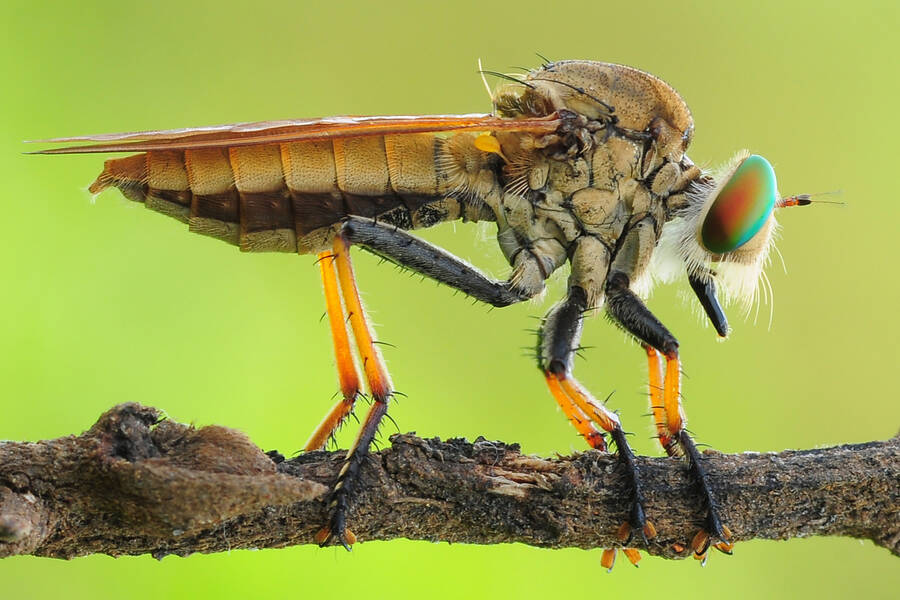 Radio Kiskeya en Direct - 88.5 MHz FM, Port-au-Prince, Haïti | Online ...