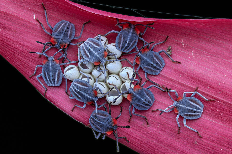 Z105 Listen Live - 105.9 MHz FM, Englewood, United States | Online ...