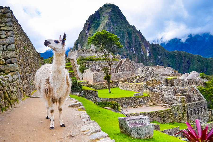 Current time in Peru, Local Time Zone, DST information | Dayspedia