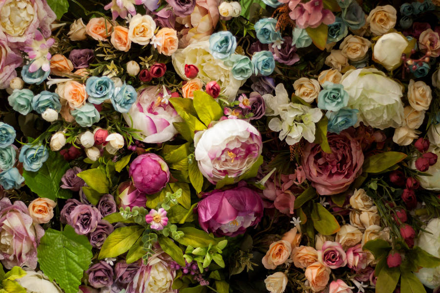 WPON - AM 1460 Listen Live - Walled Lake, United States | Online Radio Box