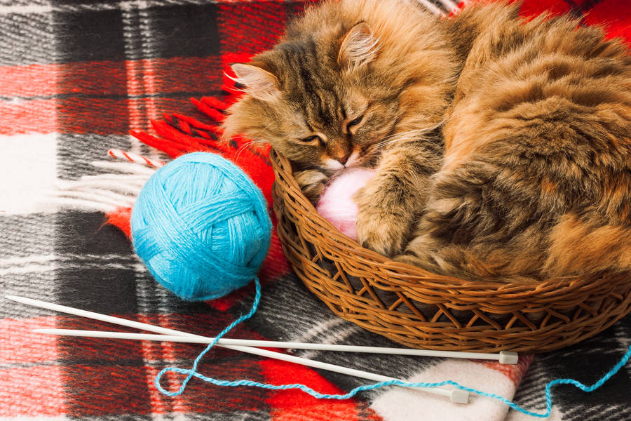 KNUJ Listen Live - 860 kHz AM, New Ulm, United States | Online Radio Box