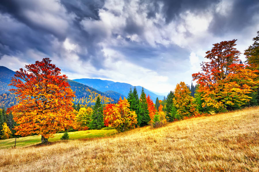 WESX 1230 AM Listen Live - Salem, United States | Online Radio Box