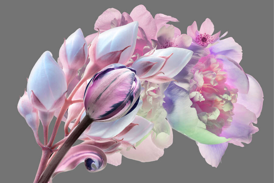 101.5 Bob Rocks Listen Live - Waynesboro, United States | Online Radio Box