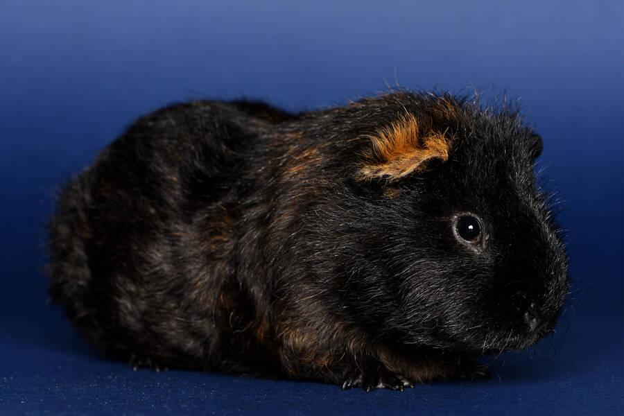 WEMP 98.9 FM Listen Live - Manitowoc, United States | Online Radio Box