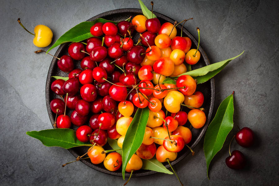 WKDM Listen Live - 1380 kHz AM, New York, United States | Online Radio Box