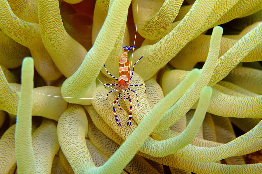 WMLB AM 1690 Listen Live - Avondale Estates, United States | Online ...