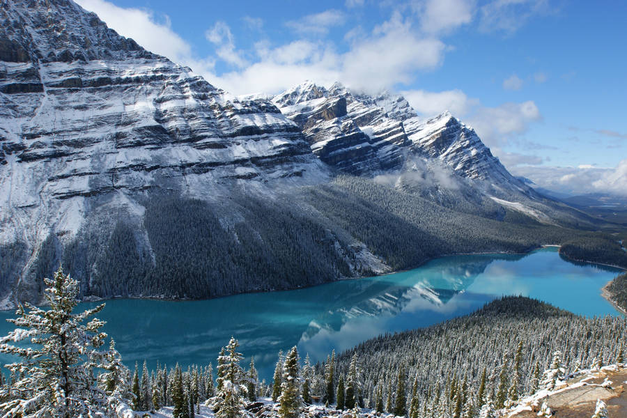 CJNC 97.9 Listen Live - Norway House, Canada | Online Radio Box