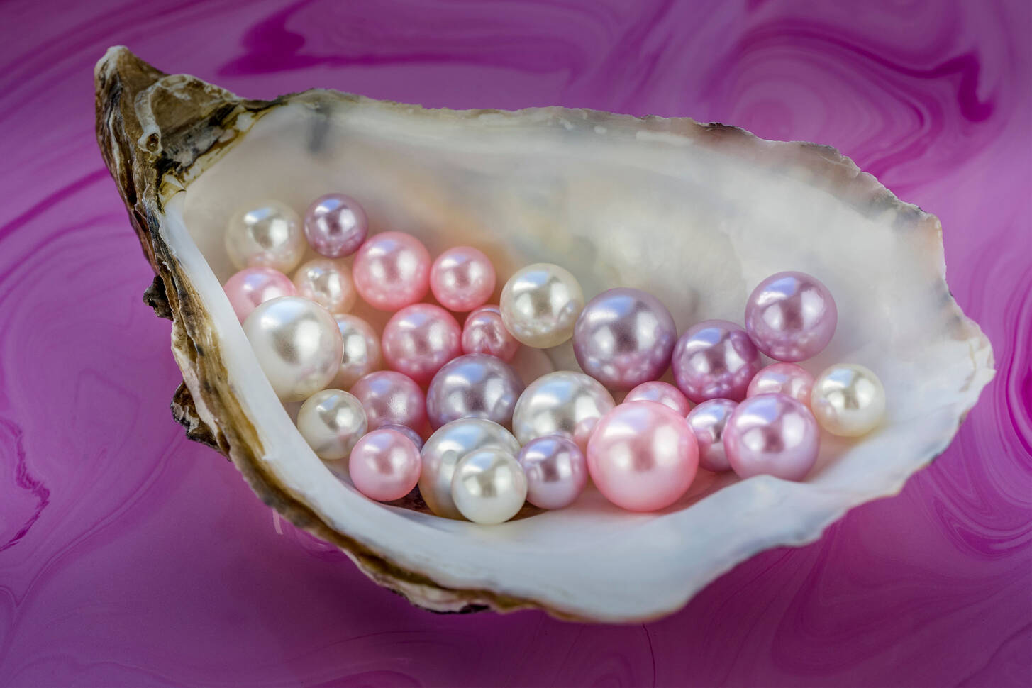 Pearls in the shell Jigsaw Puzzle (Animals, Marine life) | Puzzle Garage