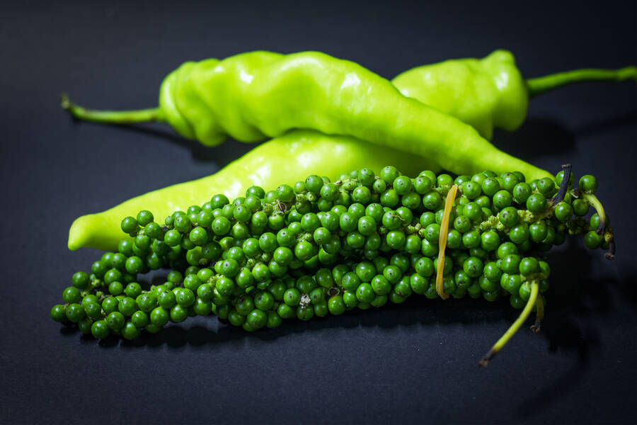 WTHO FM 101.7 Listen Live - Thomson, United States | Online Radio Box