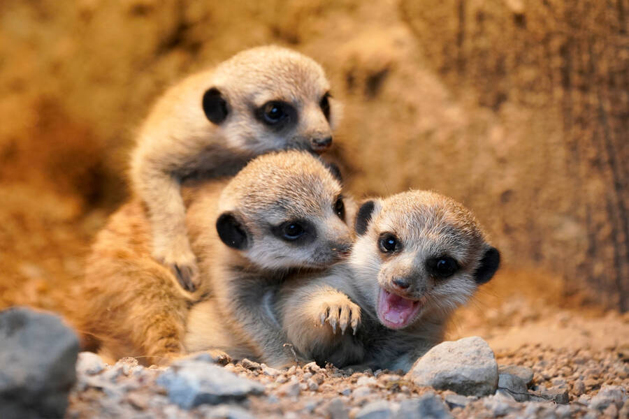 WRIU 90.3 FM Listen Live - Kingston, United States | Online Radio Box