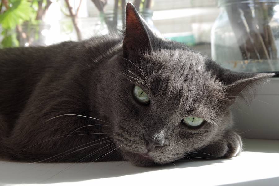 NewsTalk 550 KFYI Listen Live - Phoenix, United States | Online Radio Box