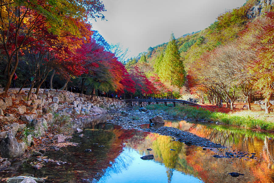 96.9 KDLO Country Listen Live - Watertown, United States | Online Radio Box