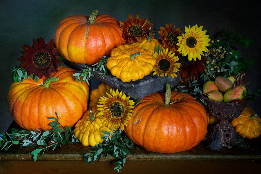 WIVK Listen Live - 107.7 MHz FM, Knoxville, United States | Online ...