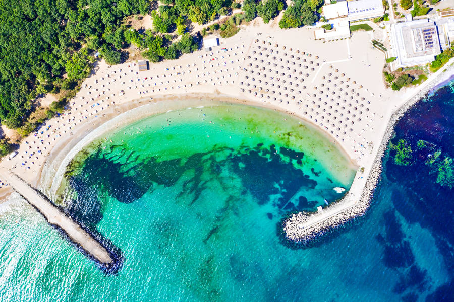 WAAV Listen Live - 980 kHz AM, Leland, United States | Online Radio Box