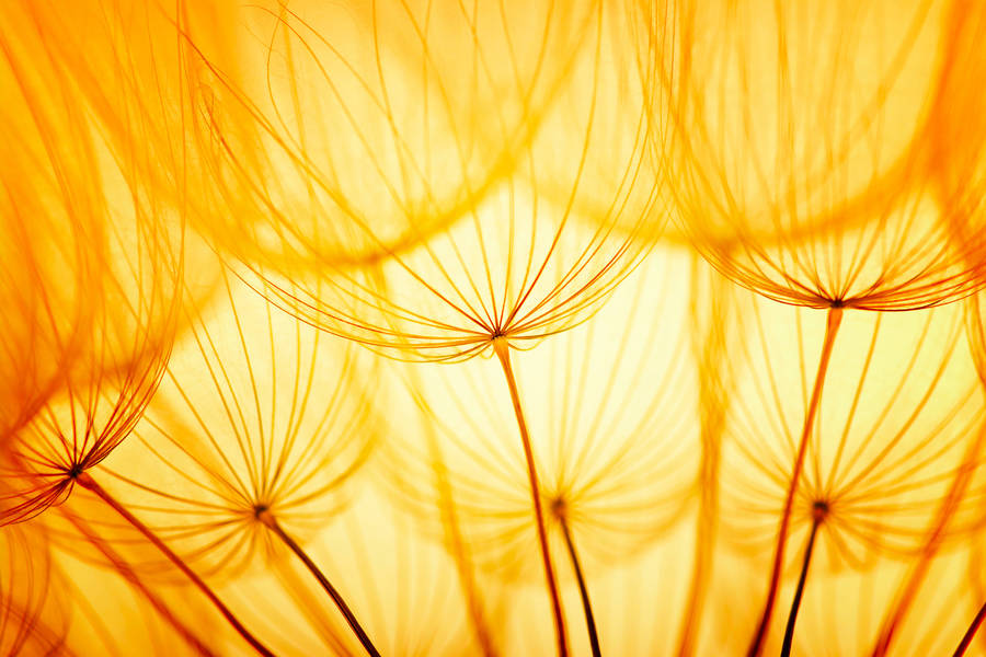 KSJD Dryland Community Radio Listen Live - 89.5-91.5 MHz FM, Cortez ...