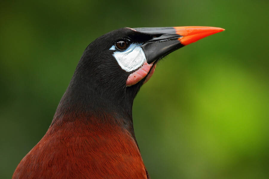 88.9 WRDL Listen Live - Ashland, United States | Online Radio Box