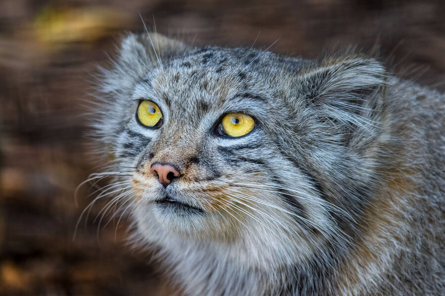 KVGC 1340 AM Listen Live - Jackson, United States | Online Radio Box