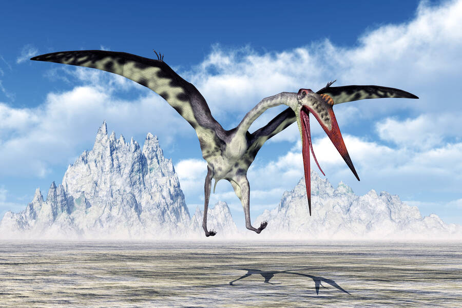 Sheger FM Listen Live - 102.1 MHz FM, Addis Ababa, Ethiopia | Online ...