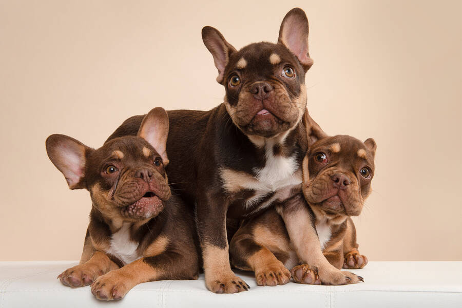 KPFK 90.7 FM Listen Live - Los Angeles, United States | Online Radio Box