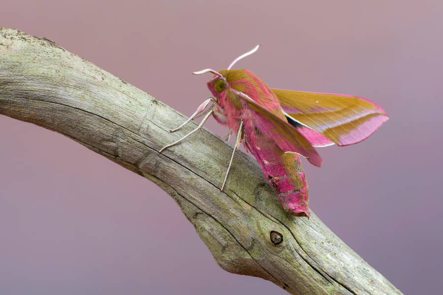 WQBE- FM Listen Live - 97.5 MHz FM, Charleston, United States | Online ...