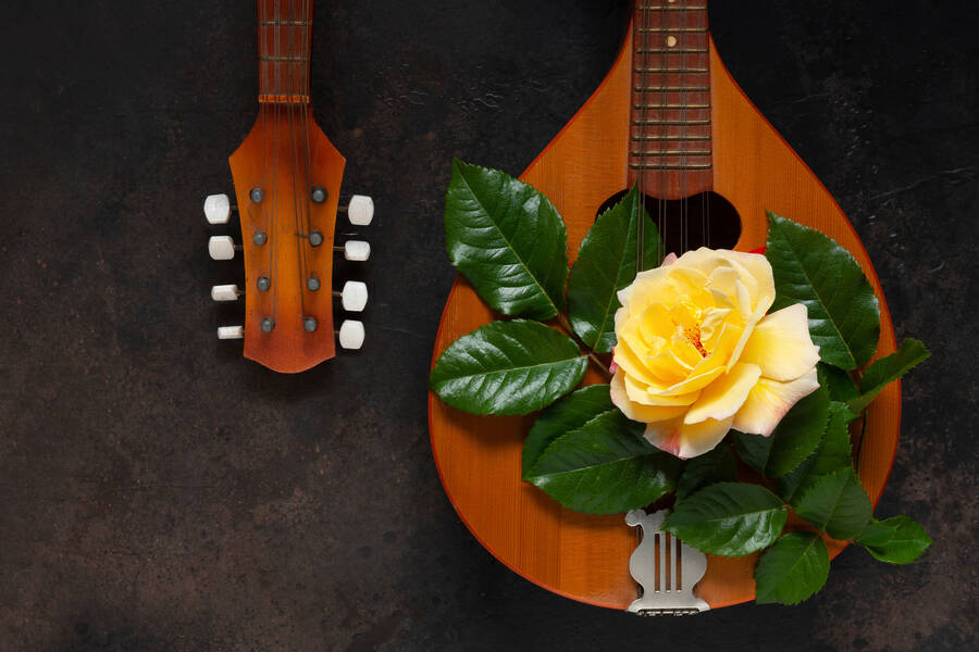 WIAC 740 AM en Vivo - San Juan, Puerto Rico | Online Radio Box