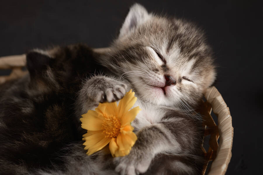 WFDD news Listen Live - 88.5 MHz FM, Winston-Salem, United States ...