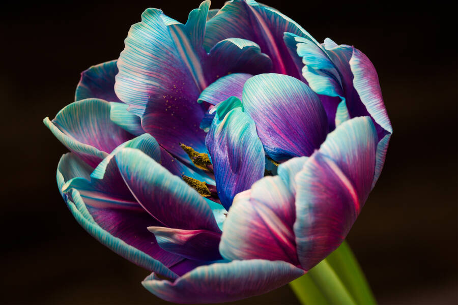 KBRC AM 1430 Listen Live - Mount Vernon, United States | Online Radio Box