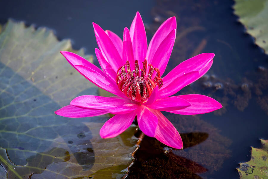 HIT FM Tricolor de Hituri Listen Live - Chișinău, Moldova | Online ...