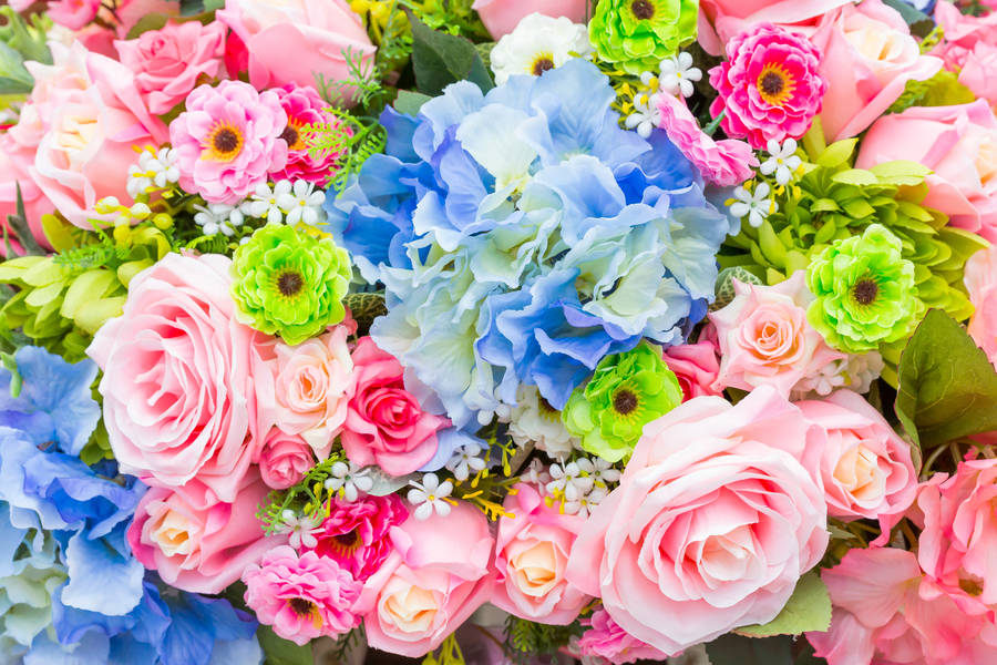 KGO 810 AM Listen Live - San Francisco, United States | Online Radio Box