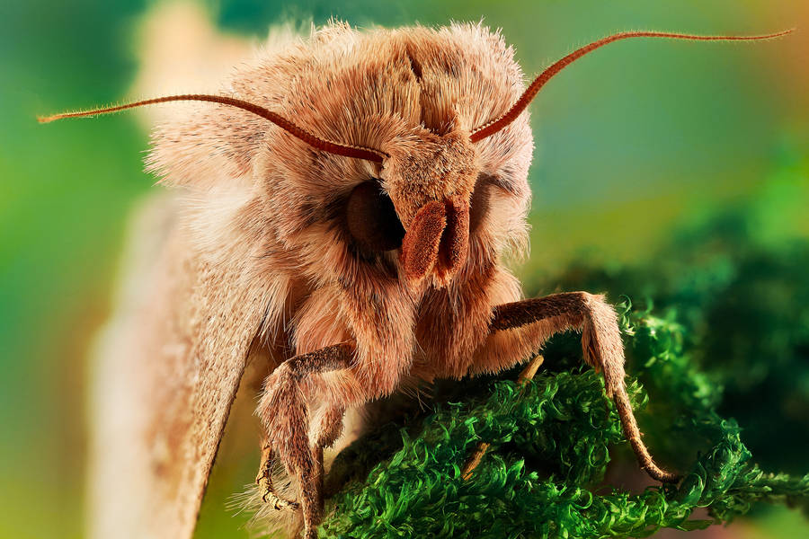 KWAV 96.9 FM Listen Live - Monterey, United States | Online Radio Box