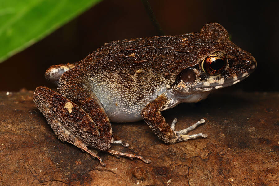 KDLG 670 AM/89.9 FM Listen Live - Dillingham, United States | Online ...