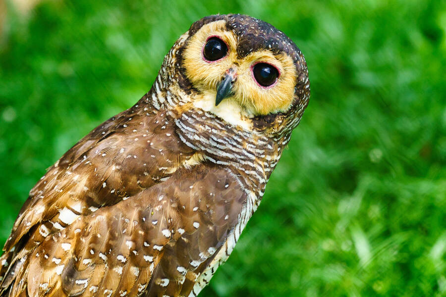 Zeta 93 en Vivo - WZNT, 93.7 MHz FM, San Juan, Puerto Rico | Online ...